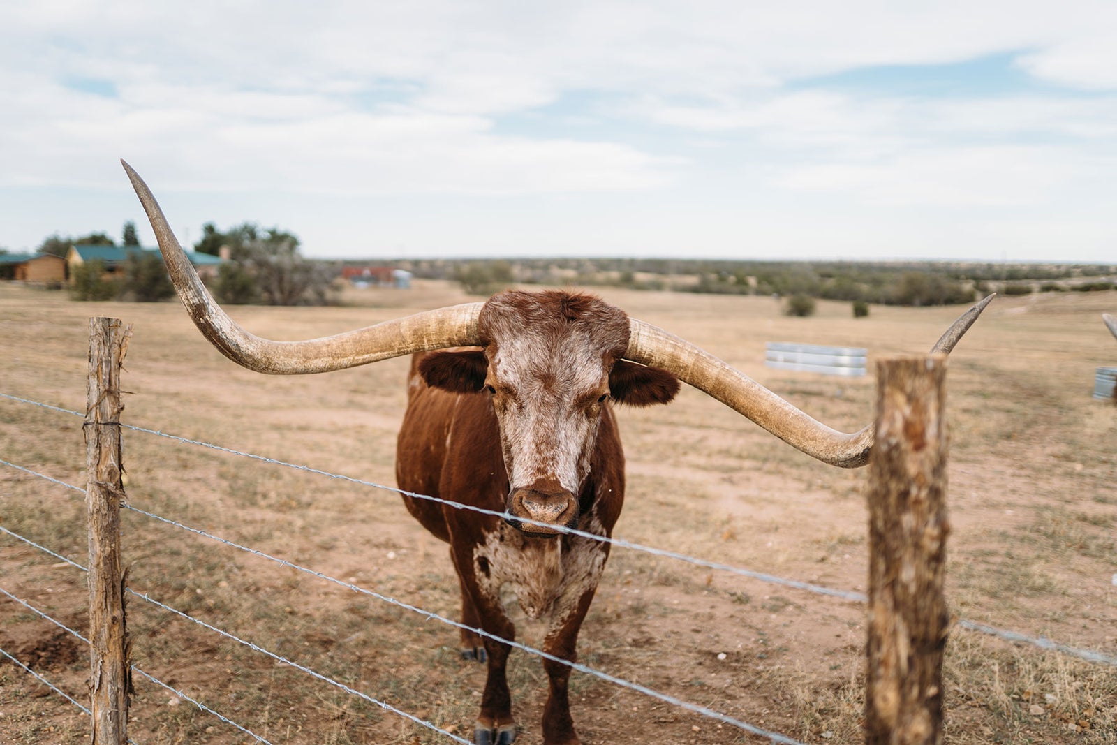 featured items smm enamel camp mug black $ 22 . 99 shop now funky ...